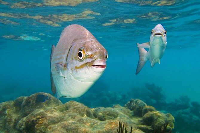 Tulum and Turtles Experience - Final Thoughts