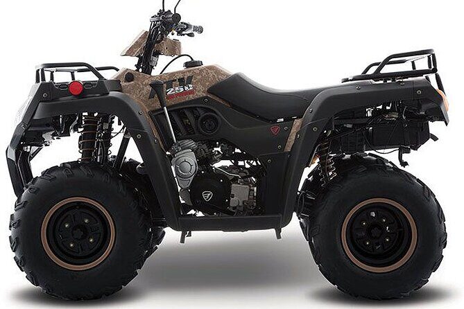 Tulum Area Experiences ATV Daily Rental - Key Points  