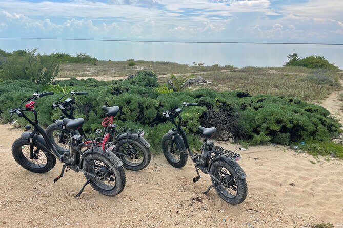Tulum Area Experiences E-Bike Daily Rental - FAQ