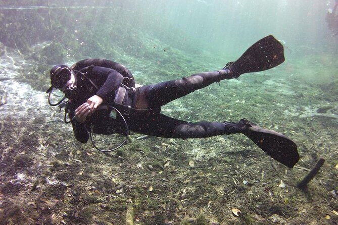 Tulum Area Experiences "Try" Scuba Diving Casa Cenote - Snacks - No experience - Who Should Consider This Tour?