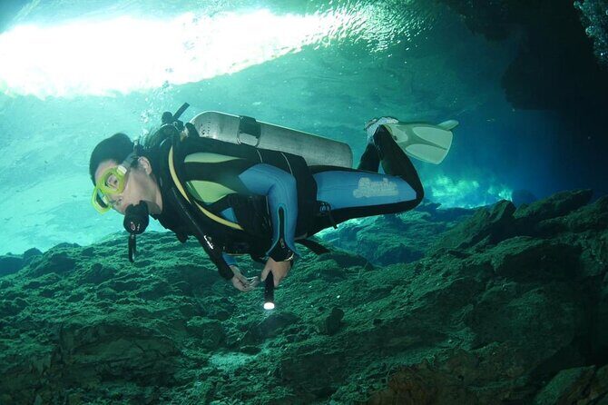 Tulum Area Experiences "Try" Scuba Diving Casa Cenote - Snacks - No experience - The Sum Up