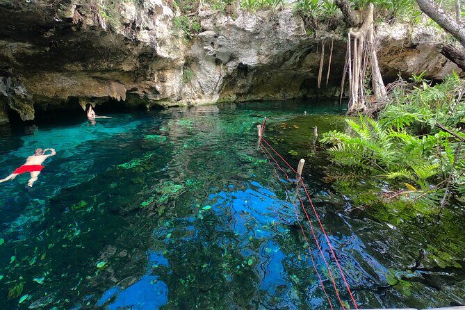 Tulum Area Guided E-Bike + Snorkeling Jungle Tour - Dos Ojos & 2 Cenotes + Lunch - Practical Details and Considerations