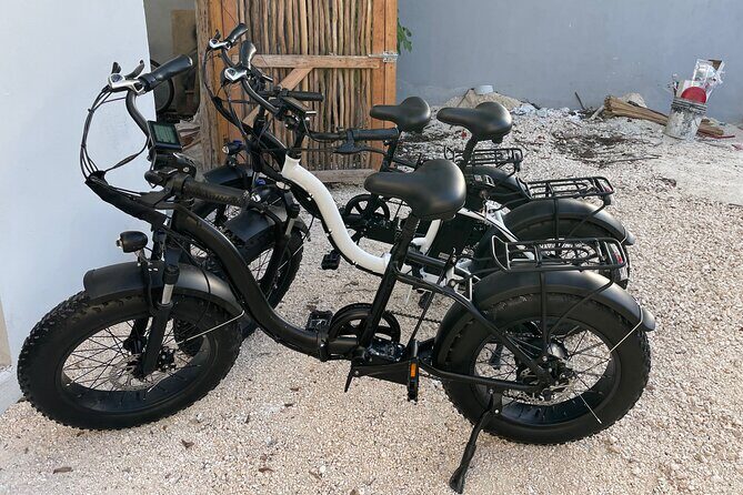 Tulum Area Guided E-Bike + Snorkeling Jungle Tour - Dos Ojos & 2 Cenotes + Lunch - FAQ