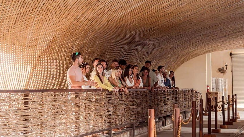 Tulum Beer Tasting Brewery Tour Beer School & Transportation - Key Points