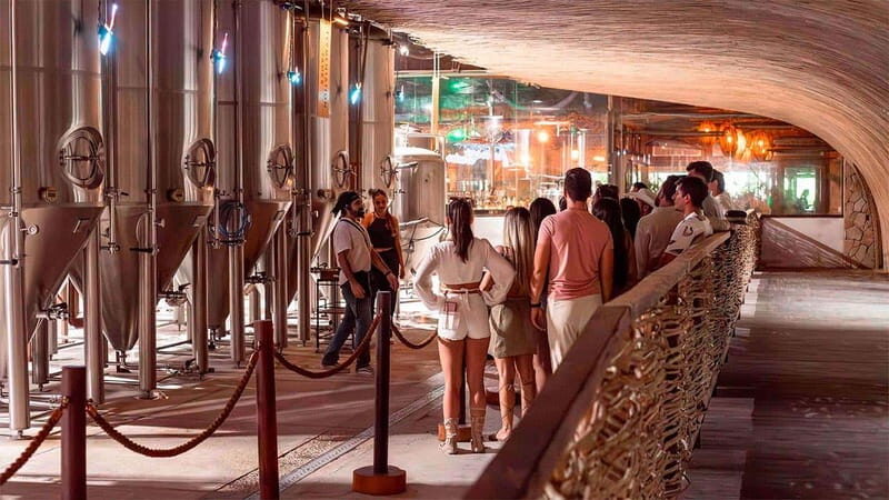 Tulum Beer Tasting Brewery Tour Beer School & Transportation - A Closer Look at the Tulum Beer Tasting Brewery Tour