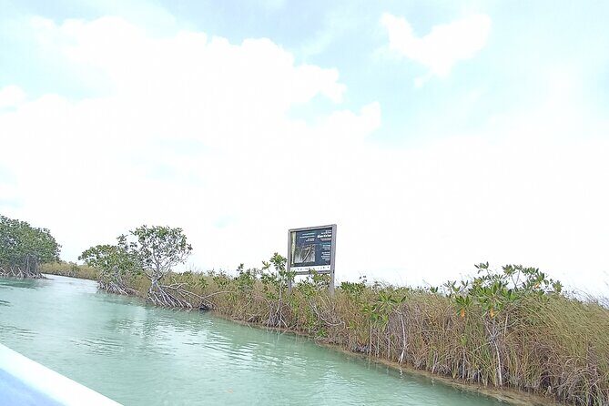 Tulum Boat Tour Sian kan muyil - Who Is This Tour Best Suited For?