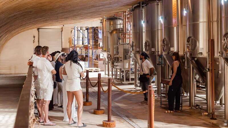 Tulum Brewery Tour and Brews & Bites - Tulum Brewery Tour and Brews & Bites: A Flavorful Journey into Mexico’s Craft Beer Scene