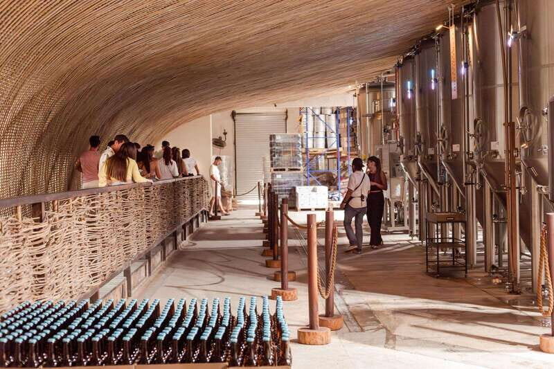 Tulum Brewery Tour and Brews & Bites - Key Points