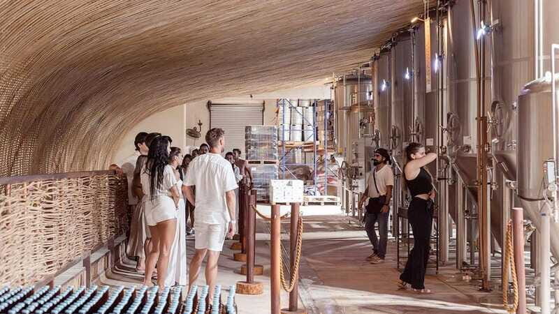 Tulum Brewery Tour & Beer Flight (Tasting Craft Beer) - Who Should Consider This Tour?