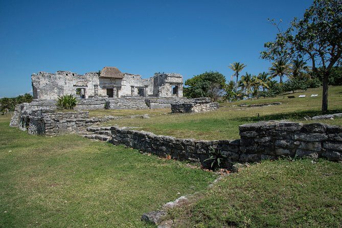 Tulum & Cenote Adventure - What Makes This Tour Stand Out?