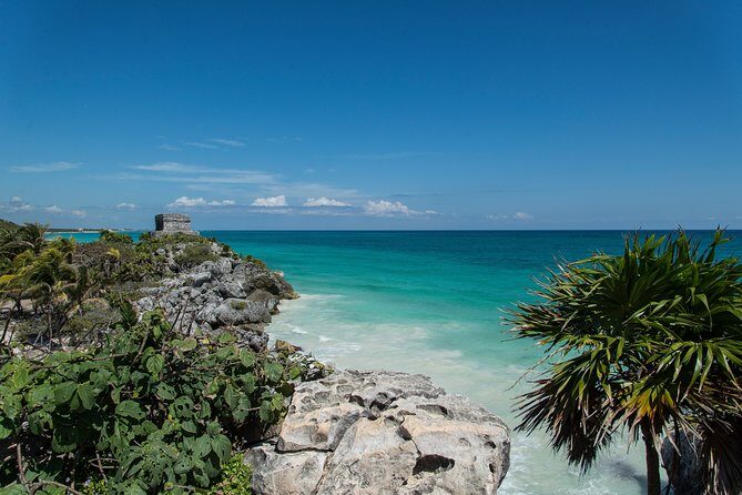 Tulum & Cenote Adventure - Transportation and Logistics