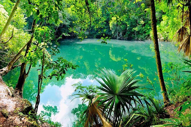 TULUM, CENOTE, MYSTIKA MUSEUM, TURTLES SNORKELING (Private) - The Sum Up