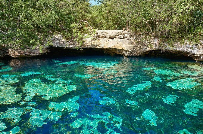 Tulum & Cenote - Private Express Tour - Authentic Experiences & Honest Insights