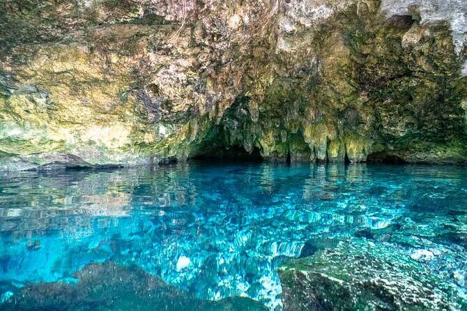 Tulum Cenotes Discovery: Swim & Snorkel in Natures Pools - An In-Depth Look at the Tulum Cenotes Discovery Tour