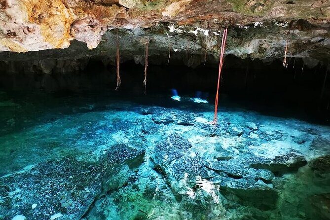 Tulum & Cenotes Private Tour - Wrapping Up