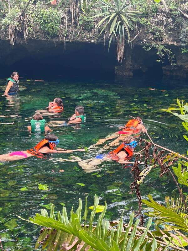 Tulum: Cenotes Tour with Snorkeling and Lunch - Introduction: What Makes This Tour Stand Out?