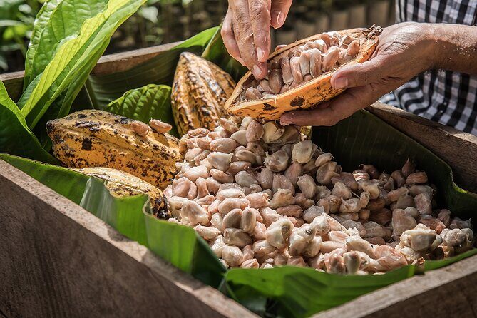 Tulum: Chocolate & Honey Sanctuary Experience with Cenote - Transportation and Duration