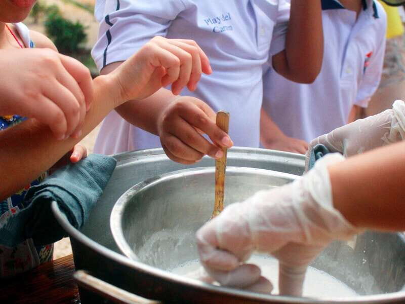 Tulum: Chocolate & Honey Sanctuary Experience with Lunch - Arrival and Welcome