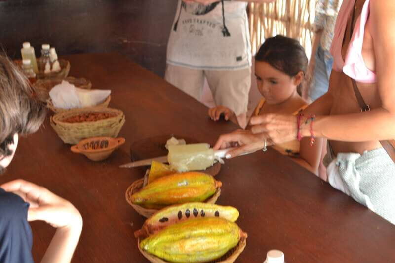 Tulum: Chocolate & Honey Sanctuary Experience with Lunch - Tasting the Flavors of the Sanctuary