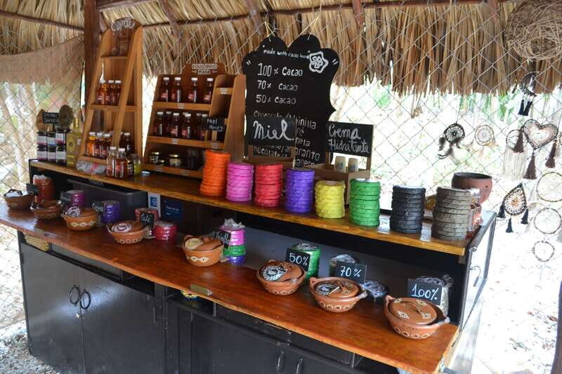 Tulum: Chocolate & Honey Sanctuary Experience with Lunch - Cost and Value