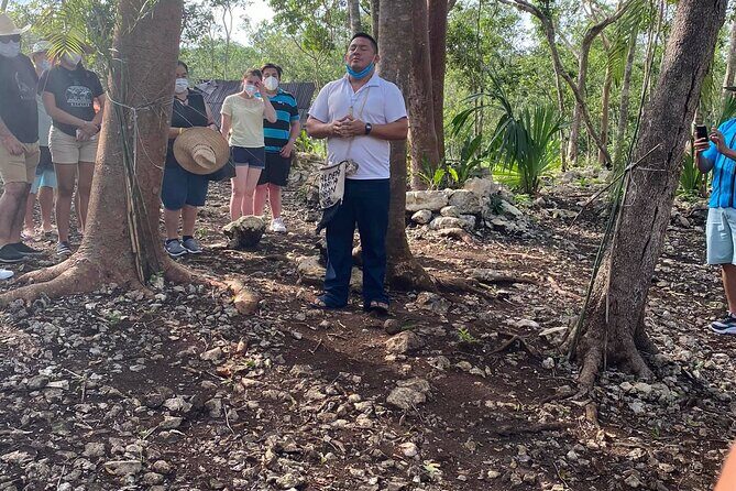 Tulum, Coba, Cenote Kuxtal and Playa Del Carmen! Deluxe 4x1 Tour - Authentic Insights from Reviewers