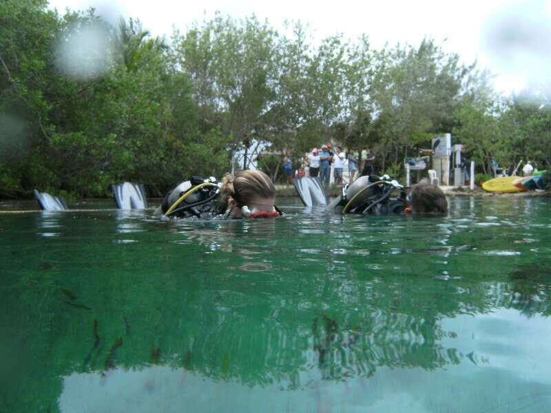 Tulum: Discover Scuba Diving in Cenotes