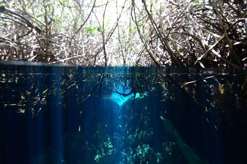 Tulum: Discover Scuba Diving in Cenotes - What to Know Before You Book