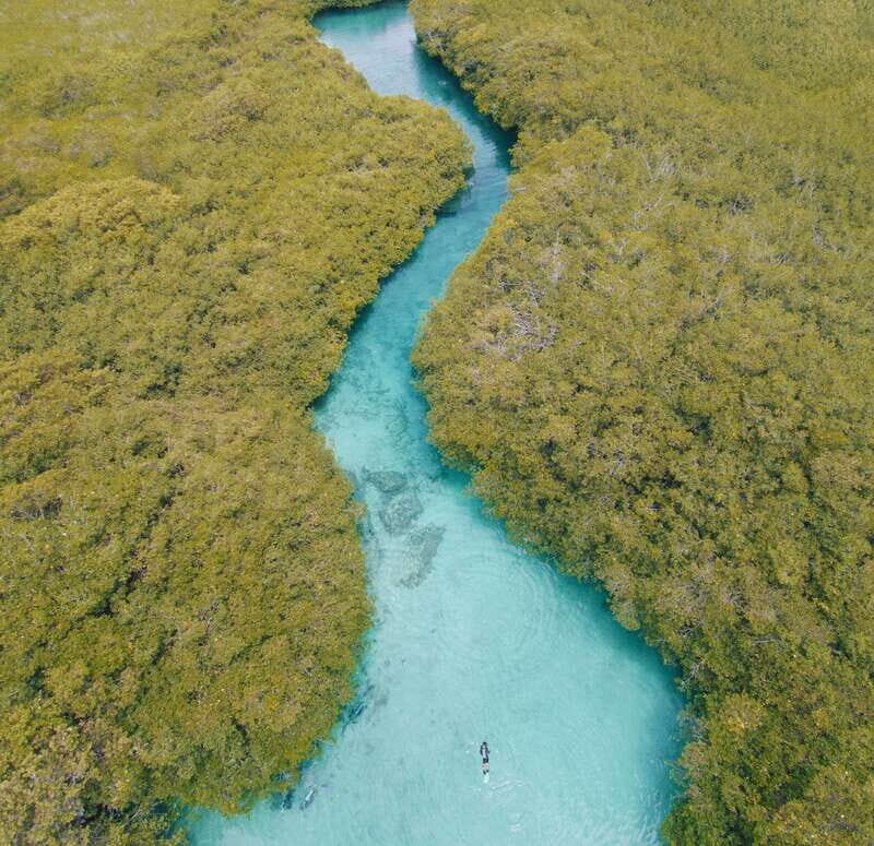 Tulum: Discover Scuba Diving in Cenotes - Authentic Insights from Real Travelers