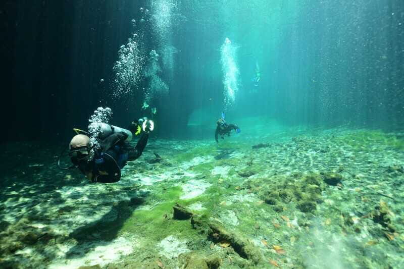 Tulum: Discover Scuba Diving in Cenotes - The Sum Up: Is It Worth It?