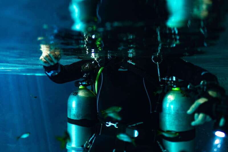 Tulum: Discover the Depths of Dos Ojos Cenote - Introduction