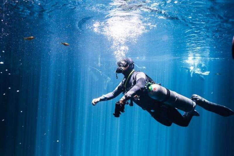 Tulum: Discover the Depths of Dos Ojos Cenote - What Makes Dos Ojos Special?