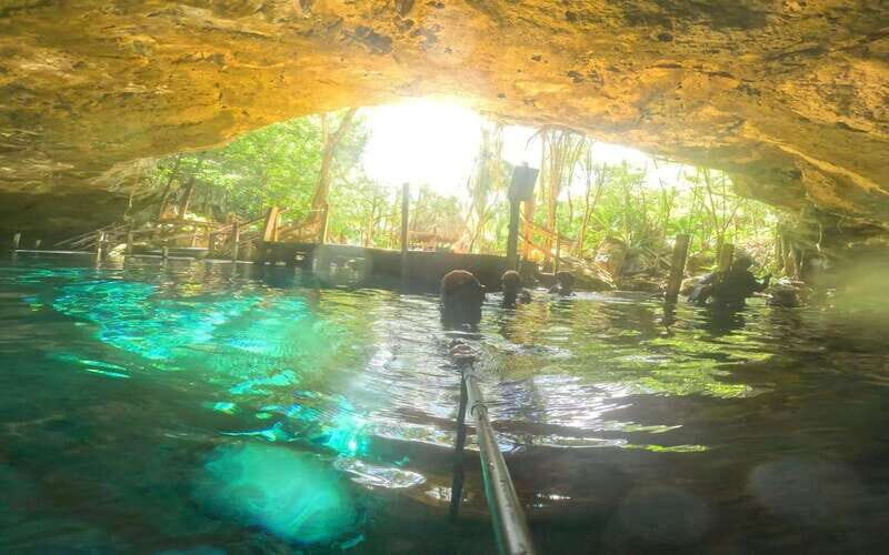 Tulum: Dos Ojos Cenote 2 Scuba Dives with Transfer Option - What You Can Expect from the Tour