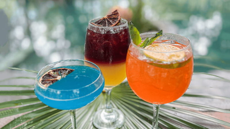 Tulum: Floating Breakfast in The Yellow Nest (Day Pass) - Value for Money and Practical Details