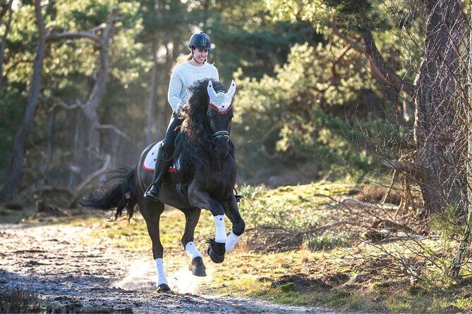 Tulum Jungle Horseback Ride + ATV + Ziplines + Cenote Combo Tour - Authentic Experiences and Practical Details