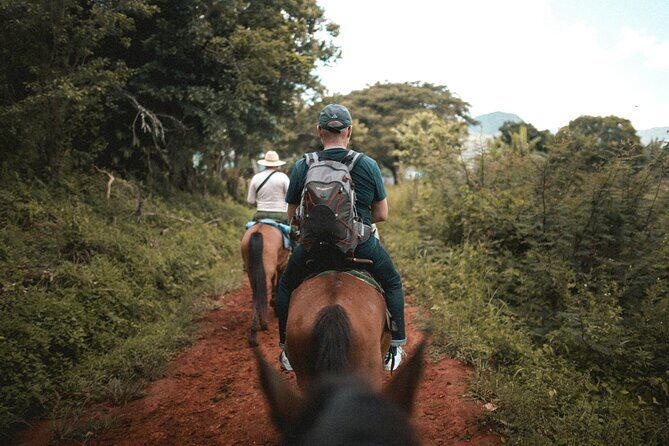 Tulum Jungle Horseback Ride + ATV + Ziplines + Cenote Combo Tour - Who Will Love This Tour?