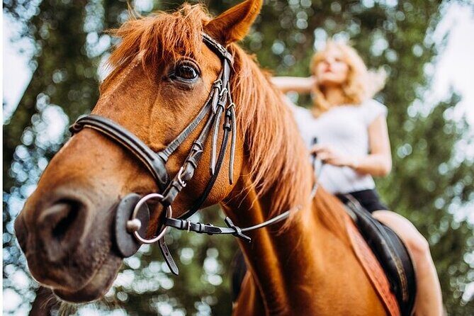 Tulum Jungle Horseback Ride + Cenote Dip & Traditional Lunch - Who Will Love This Tour?