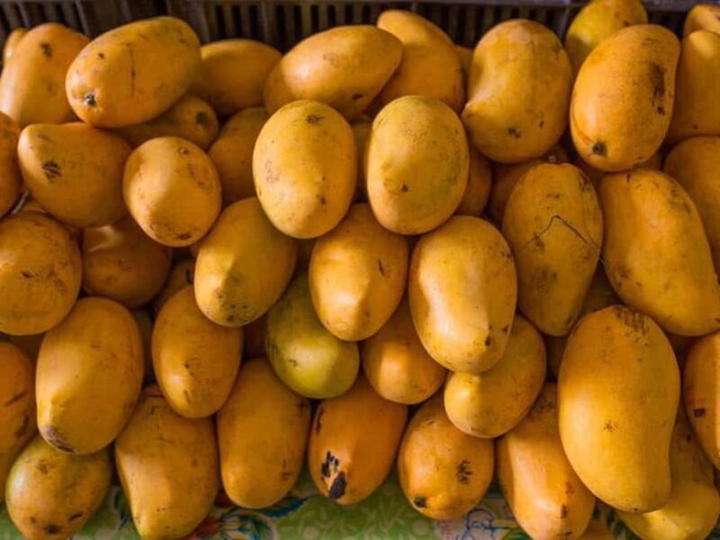 Tulum: Mexican Cooking Class in Local Home