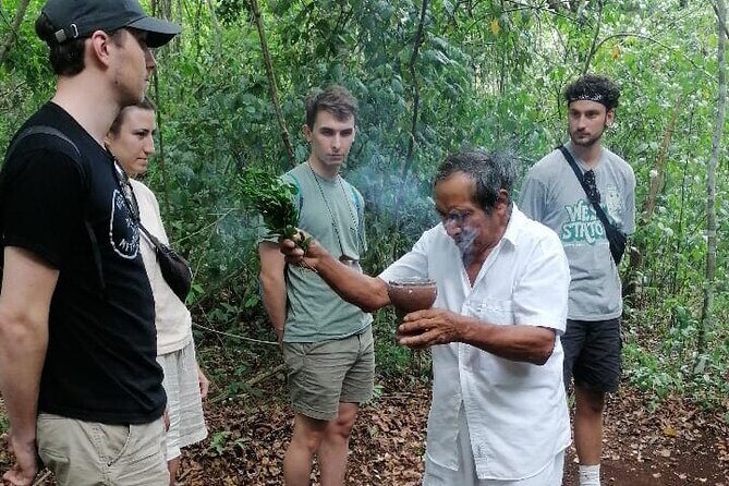Tulum Monkey Sanctuary Tour Punta Laguna - An In-Depth Look at the Tour Experience