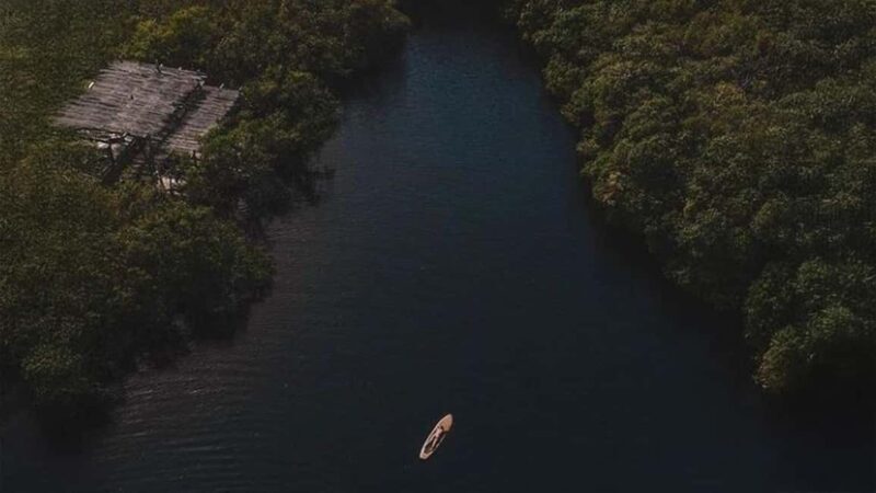Tulum: Pargo Restaurant Cenote Dining Experience - Tulum: Pargo Restaurant Cenote Dining Experience — A Practical & Authentic Adventure