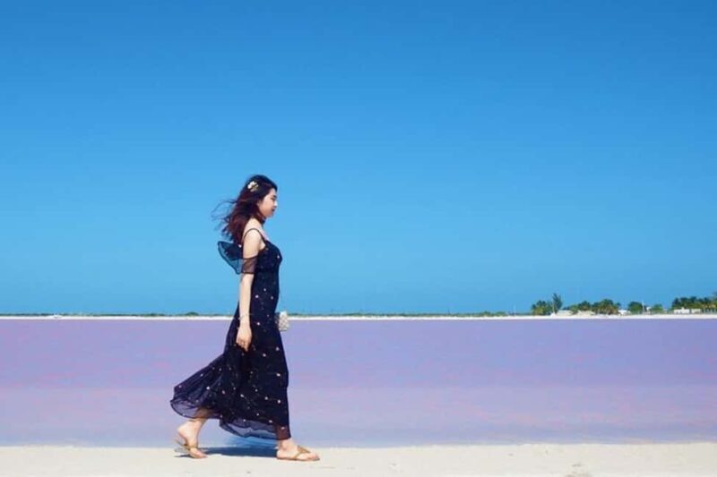 Tulum: Pink Lake, Rio Lagartos, Crocodile Flamingo Adventure - Introduction to the Tour: Colors, Creatures, and Natural Wonders