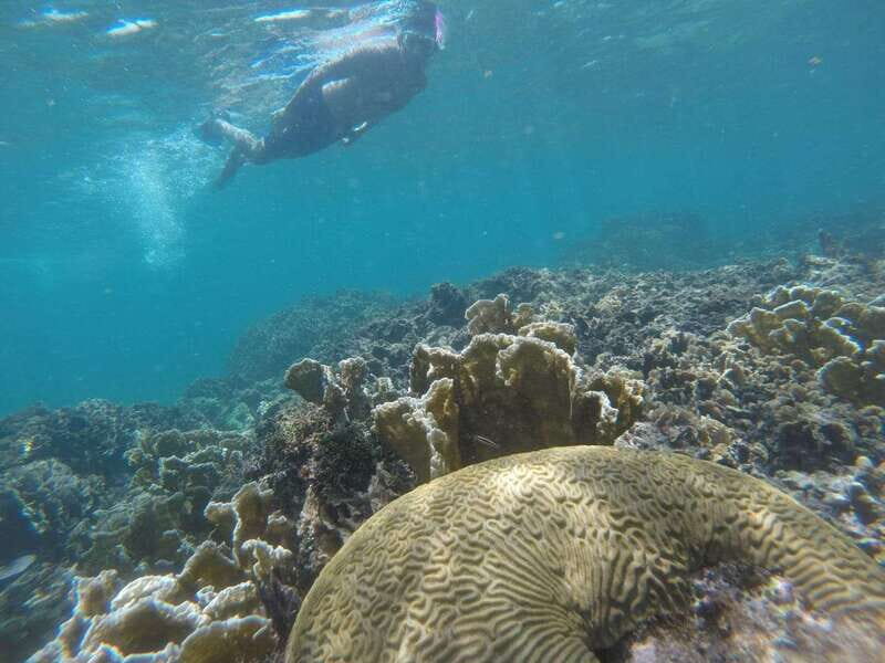 Tulum: Private Snorkel and Sailing Experience - Key Points