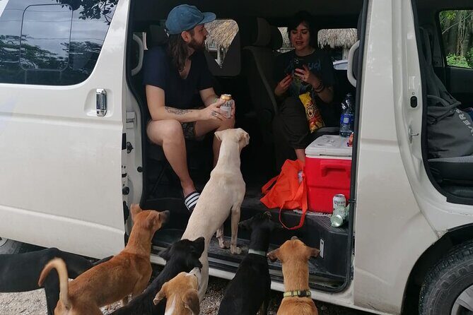 Tulum Private Transportation - What to Expect on Your Trip