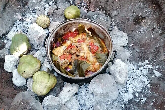 Tulum Private Transportation - Why This Service Is a Great Fit