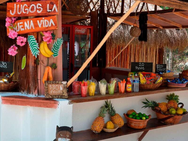 Tulum: Raw Honey & Chocolate Tour with Vegan Lunch & Cenote - Key Points