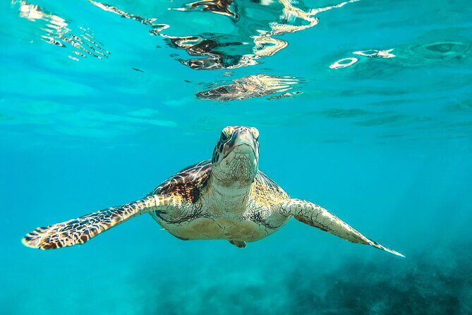 Tulum Ruins and Reef Snorkeling Combo Adventure - Who is This Tour Best For?