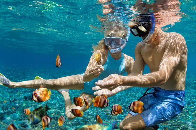 Tulum Ruins and Reef Snorkeling Combo Adventure - The Sum Up