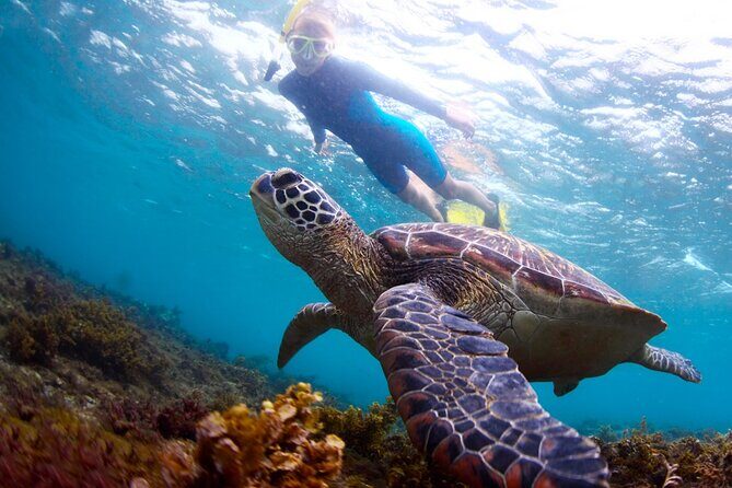 Tulum Ruins and Turtles Express - Final Thoughts on the Tulum Ruins and Turtles Express