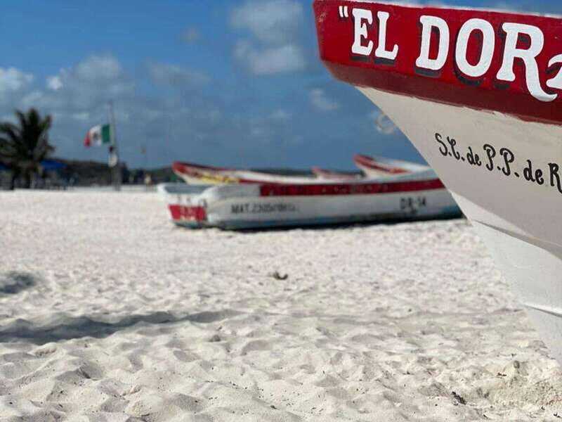 Tulum: Ruins by Boat, Swim with Turtles & Cenote Tour - Final Thoughts: Who Will Love This Tour?