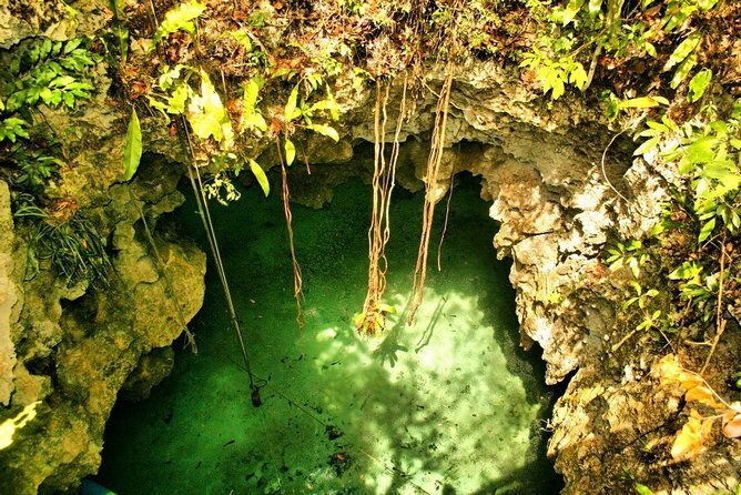 Tulum Ruins & Cenote guided private tour from Tulum and Riviera Maya. - Who Will Love This Tour?