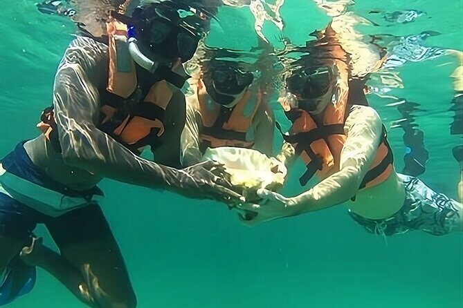 Tulum: Ruins, Reef & Cenote Small Group Day Trip - The Experience: What You Can Expect